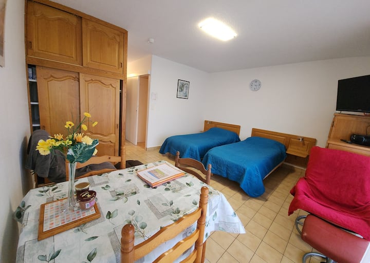 Barbotan, Rdc De 25 M2, Wifi, Près Des Thermes - Cazaubon