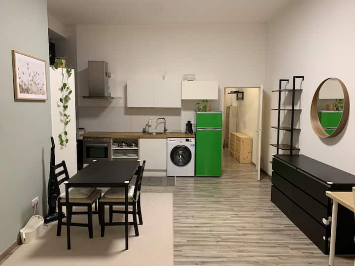 2 Raum Wohnung Berliner Altbau Sprengelkiez(mitte) - Berlin
