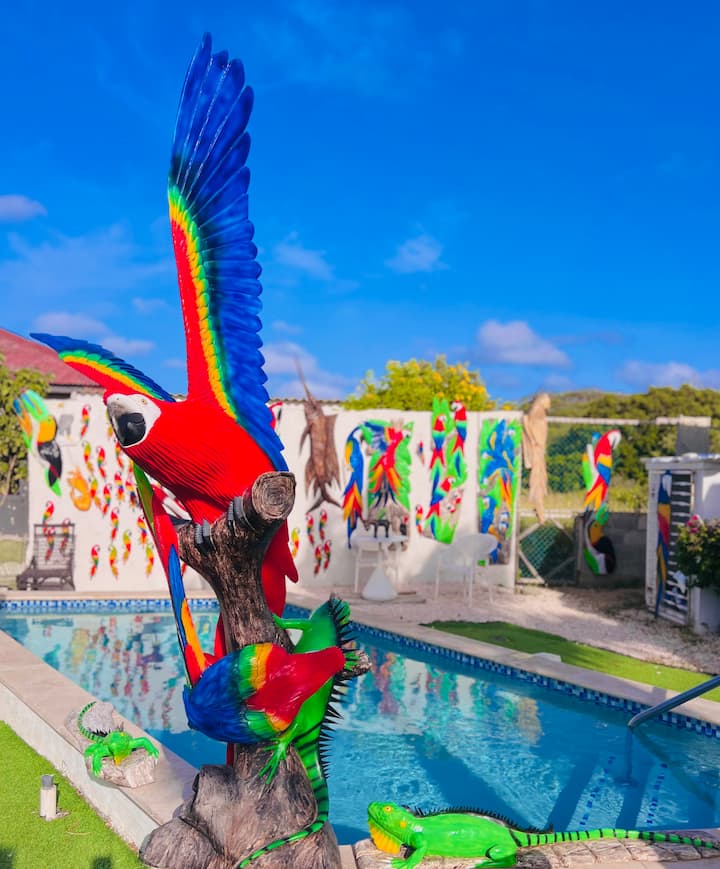 Bird-themed Retreat Near Top Aruba Beaches - Aruba