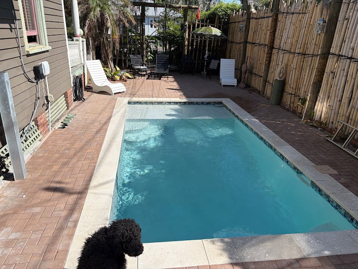 Courtyardtreehouseinthehistoricdistrict - St. Augustine, FL