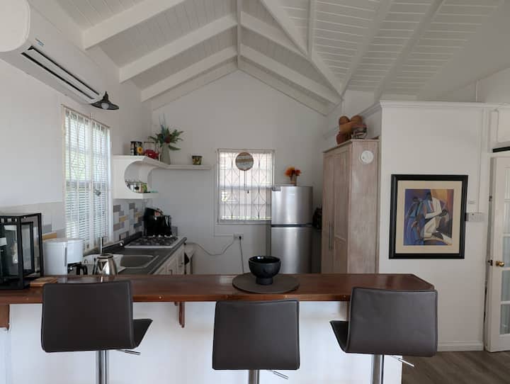 Oceanview In Downtown Saint George's - Granada