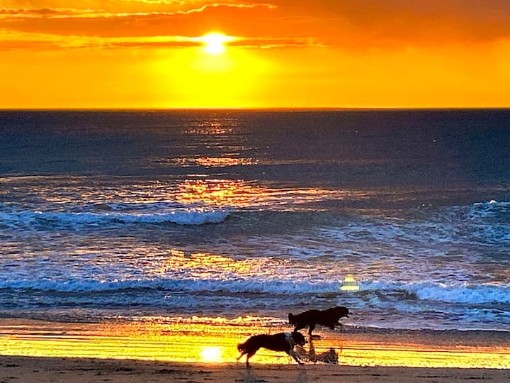 Oceanfront Suite-private&partial Oceanview - Apollo Bay