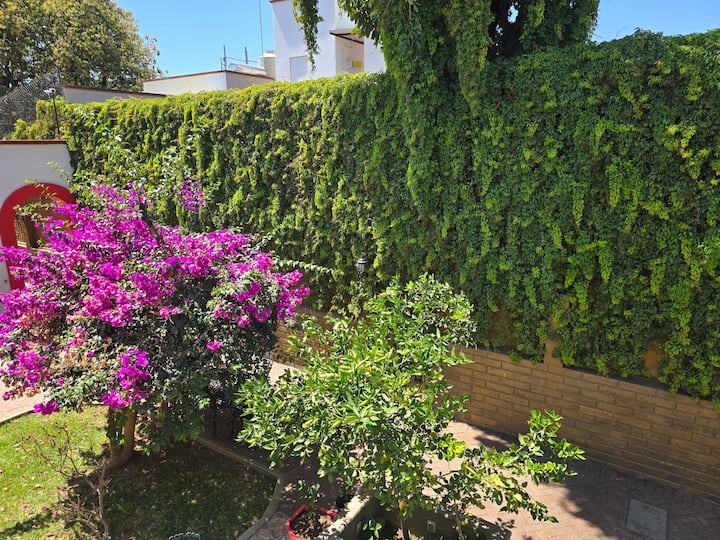 "Azucena" Mini Departamento En El Centro - Oaxaca