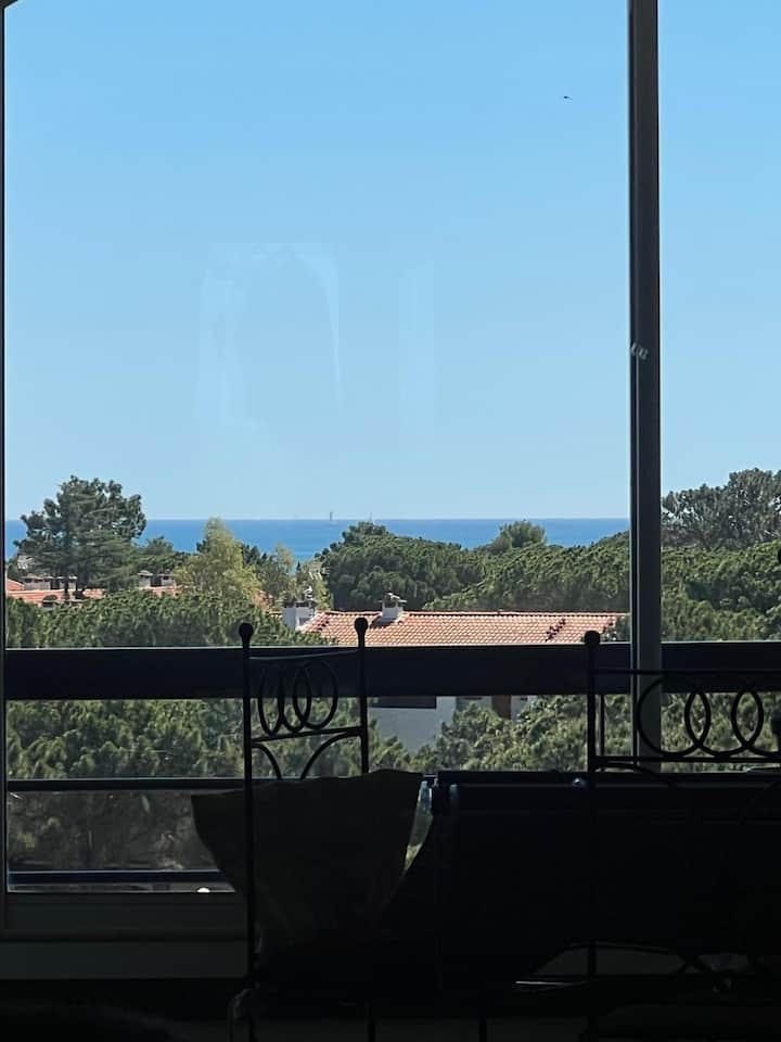 Appartement T3 De80m2 Vue Panoramique Mer Montagne - Collioure