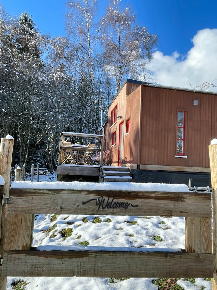 Tiny Paradis - Saint-Vith