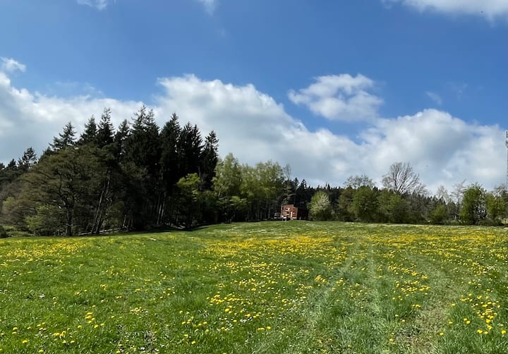 Tiny Paradis - Vielsalm