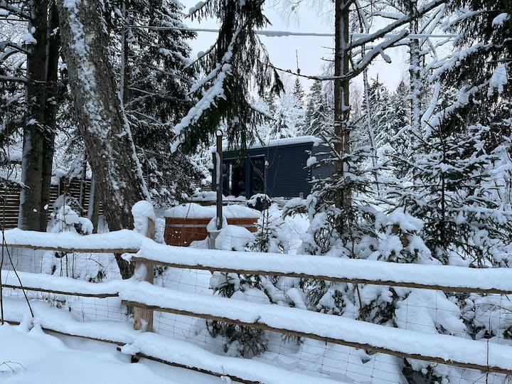 Kakupesa - エストニア