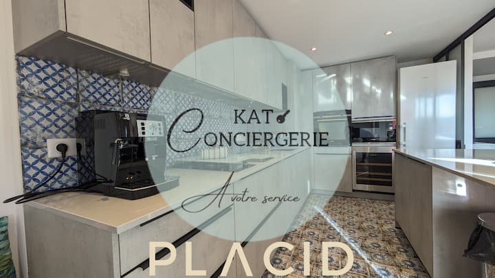 Le 828 : Appartement En Plein Centre De Vannes - Vannes