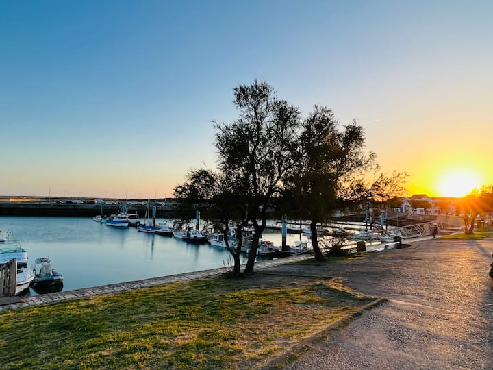 Le Cotyl - Saint-Pierre-d'Oléron