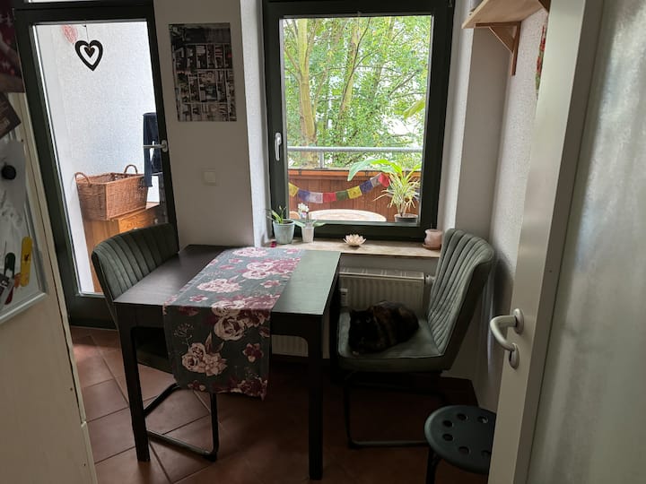 Altbautraum Am Lene-voigt-park - Leipzig