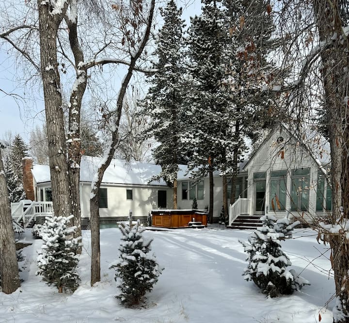 Aspen Ski Den - Walk Everywhere! - Aspen, CO