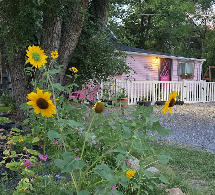 The Sweet Escape - 奧格登