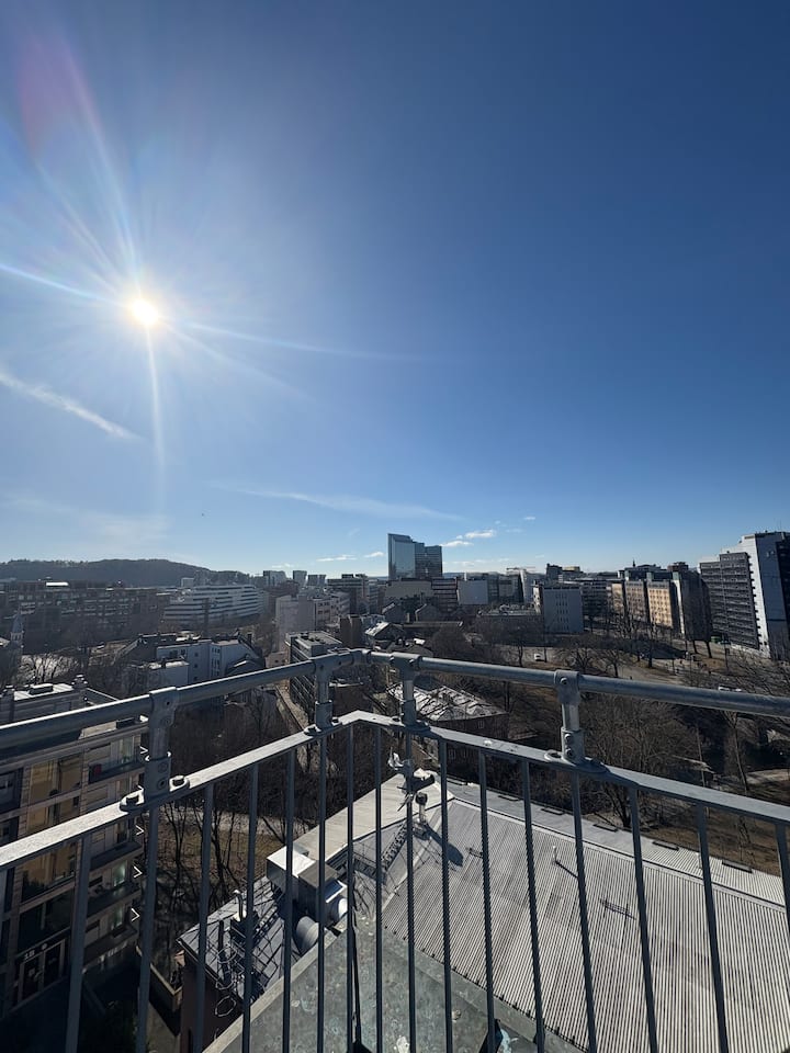 Hyggelig Leilighet På Grünerløkka - Oslo