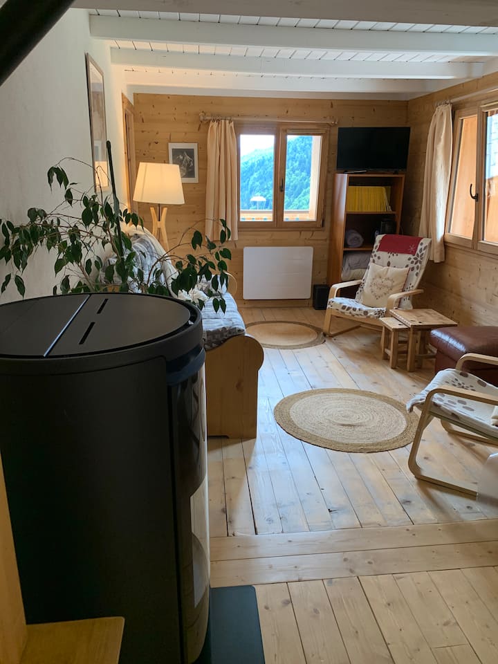 Ski, Rando Enneigées, Moments Nature Et Sportifs - La Clusaz