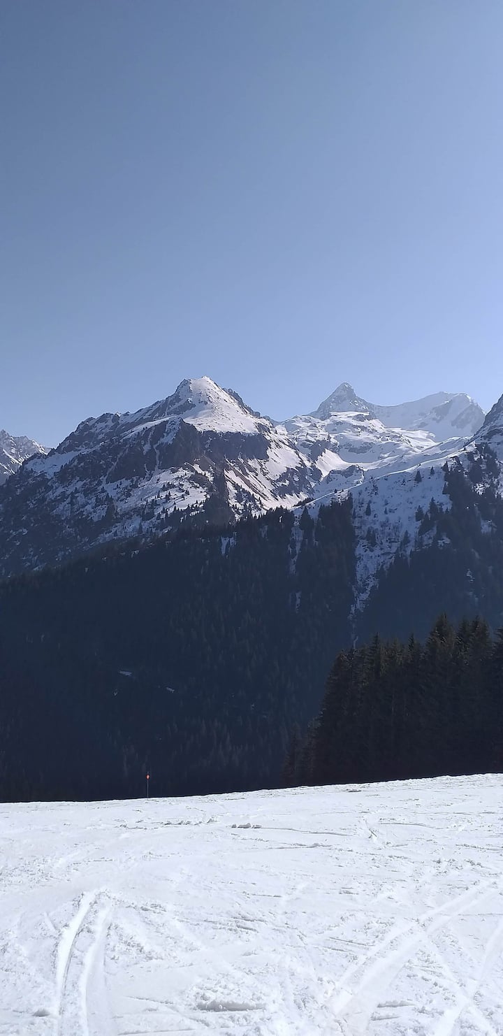 Studio Au Pieds Des Pistes Station Des 7 Laux - Vaujany