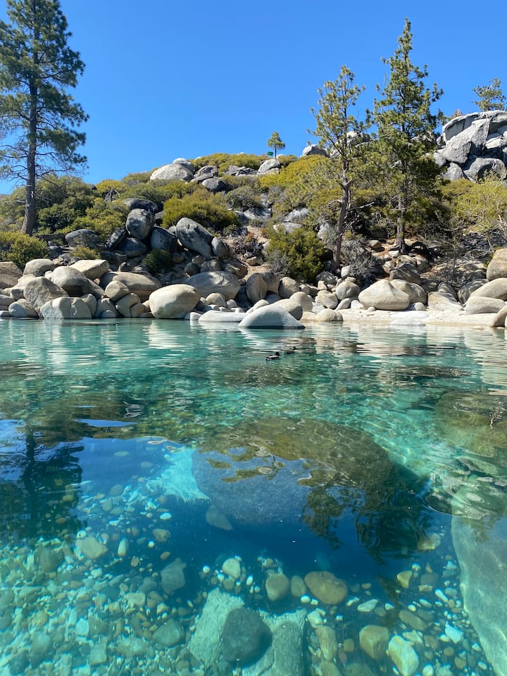 Cute West Side Charmer - Carson City, NV