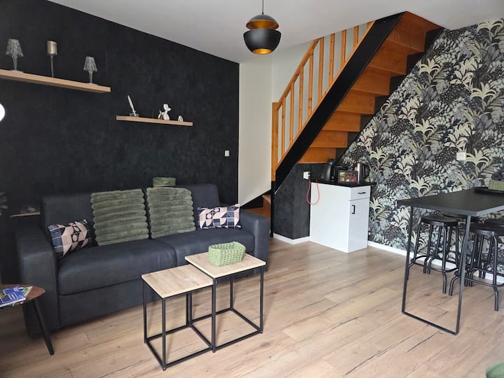 Maison Moderne 35m2 Place De Parking Sécurisée - Reims