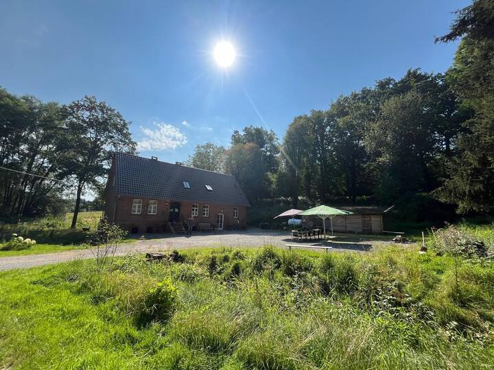 Alte Wassermuhle - Niedersachsen