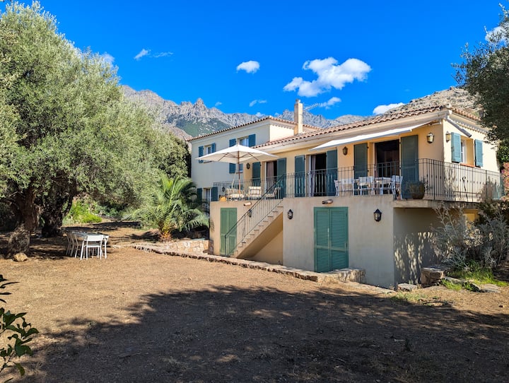 Magnifique Villa Entre Mer Et Montagne - Calenzana
