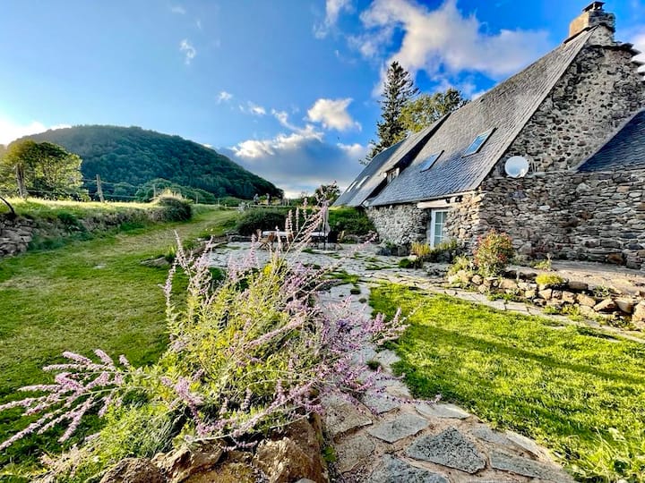 Magnifique Et Paisible Maison En Pierre - Besse-et-Saint-Anastaise