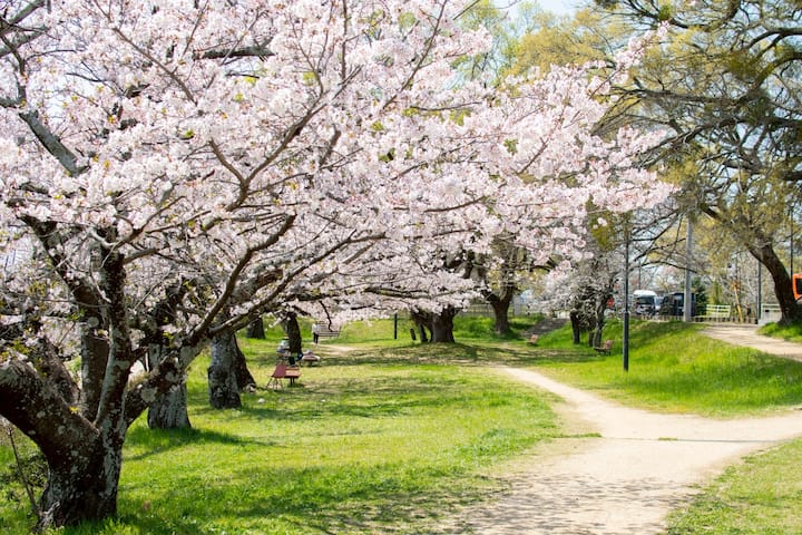 【貸切】Smallcity-home Matsuyama A棟 /特別セール中! - Matsuyama