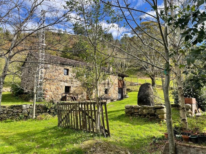 Gîte Charmant à Montagnes - Vega de Pas