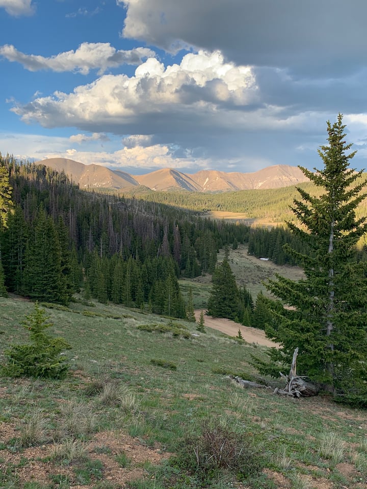 The Wildflower Is An Adventurers Dream Get Away. - Mountain Home Reservoir, Fort Garland