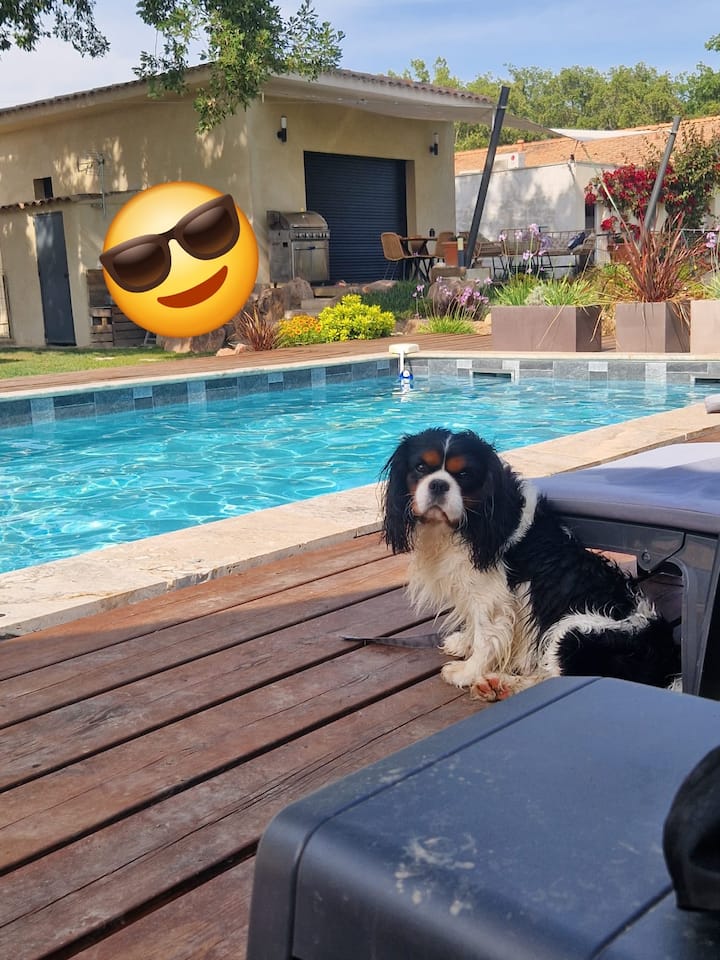 Joli 40m2+mezzanine 5p Piscine Jardin Bbq Mer 10mn - Ghisonaccia