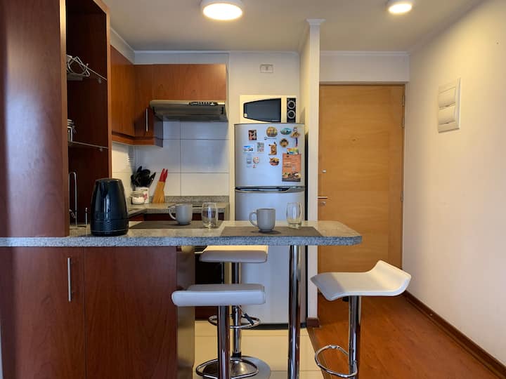 “Tu Hogar En La Ciudad”:departamento 100% Amoblado - Santiago (Chile)