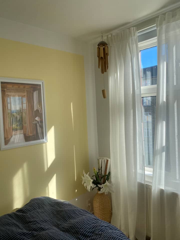 Hjemlig Og Fin 2-værelses Lejlighed - Copenhague