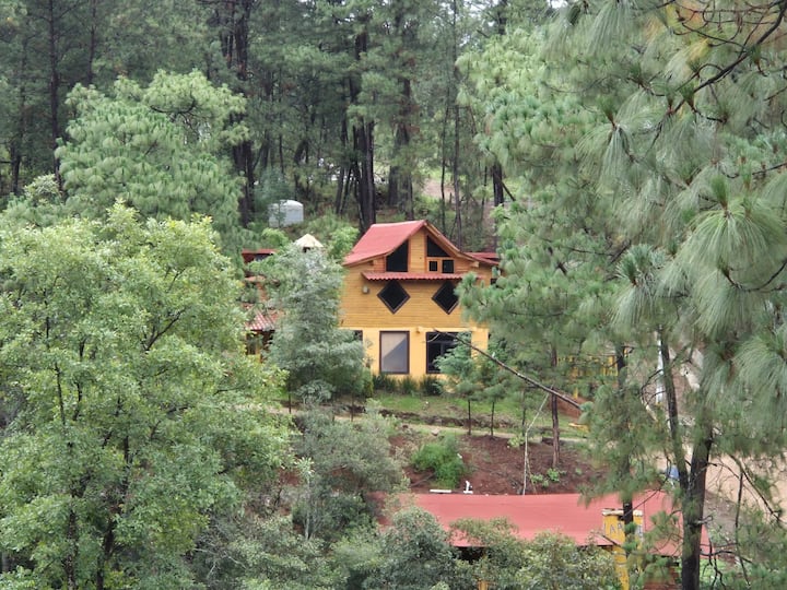Cabaña La Puente #4 - Michoacán