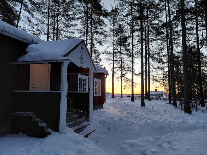 Trevlig Ski In And Ski Out Stuga - Bollnäs