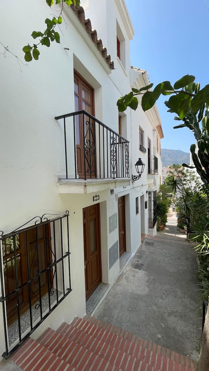 Cactus Apartment Old Town - Estepona