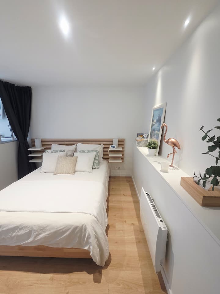 Cosy Appartement Face Aux Parcs - Parking Gratuit - Vichy