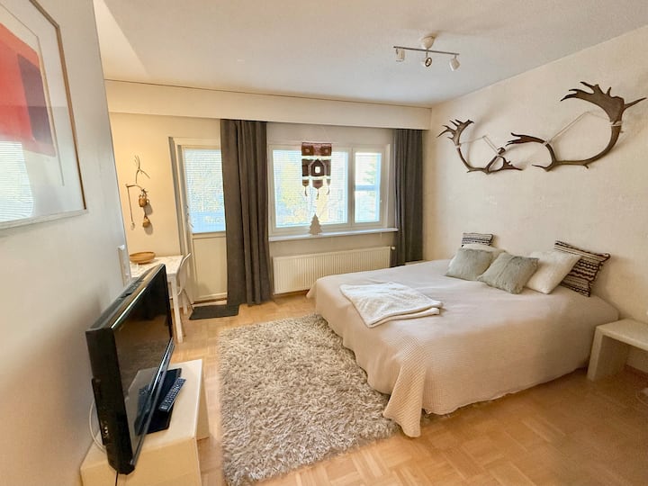 Studio With A Private Sauna, Balcony And Parking - Rovaniemi