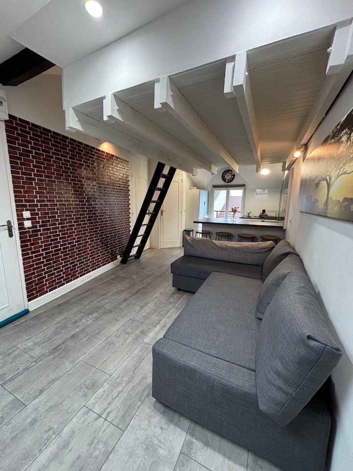 🌍 Aéroport - Parc Des Expo - Disney - Paris 🌎 - Villepinte