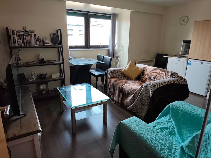 Apartment In Brindley Place Central Birmingham - Birmingham