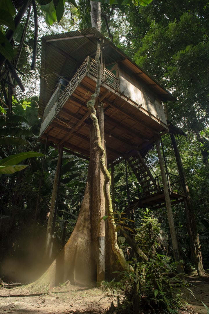 Wayruru Treehouse | Amazon Jungle | Acapú Lodge - State of Amazonas