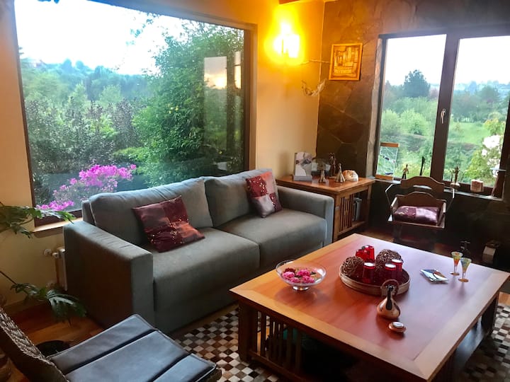 Maison Avec Barbecue Et Vue Sur Le Lac - Puerto Varas