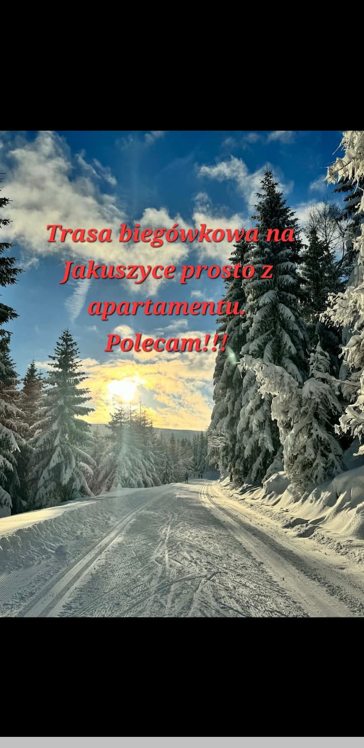 Komfortowy I Słoneczny Apartament Pod ŚWierkami - Karkonosze