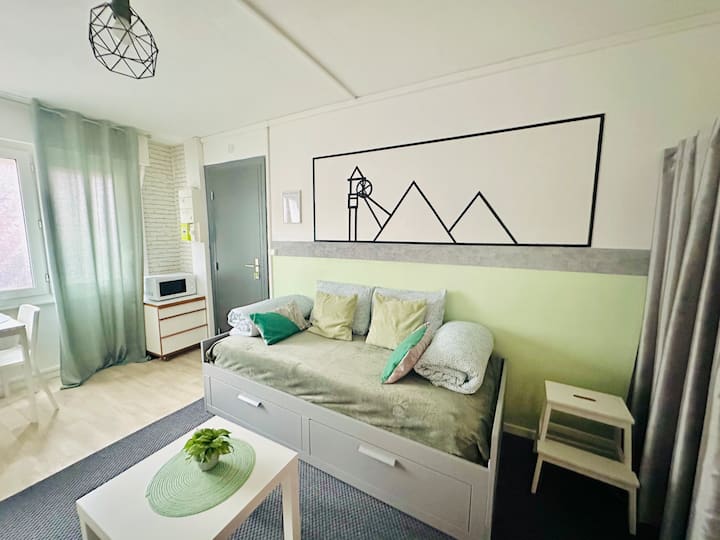 Terrils Jumeaux, Studio 2 Personnes, Centre Ville - 朗斯