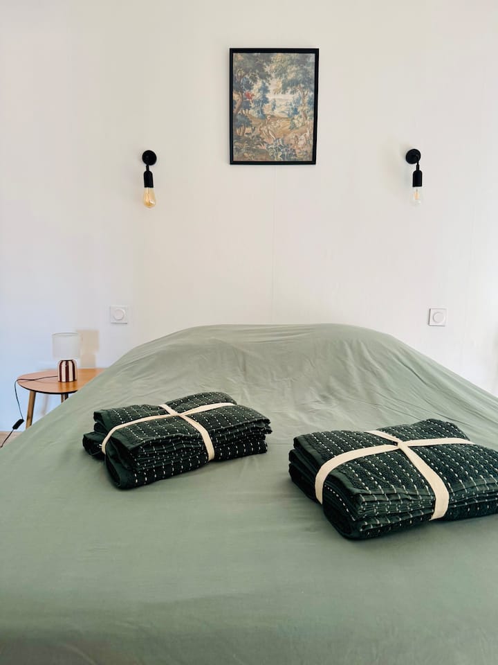 Appartement Hyper Centre Albi - Albi