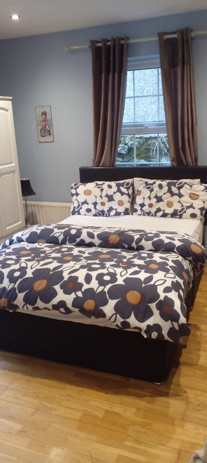Great Room Near City Centre - Cork (Ireland)