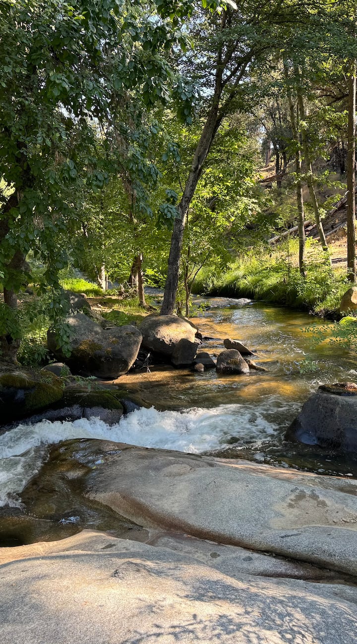Yosemite Creekside Cabin Oakhurst/bass Lake Pet Ok - Yosemite National Park, CA