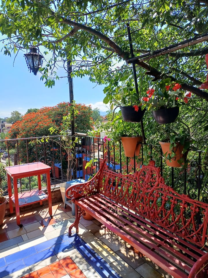 La Terraza Del Pochote. - Oaxaca