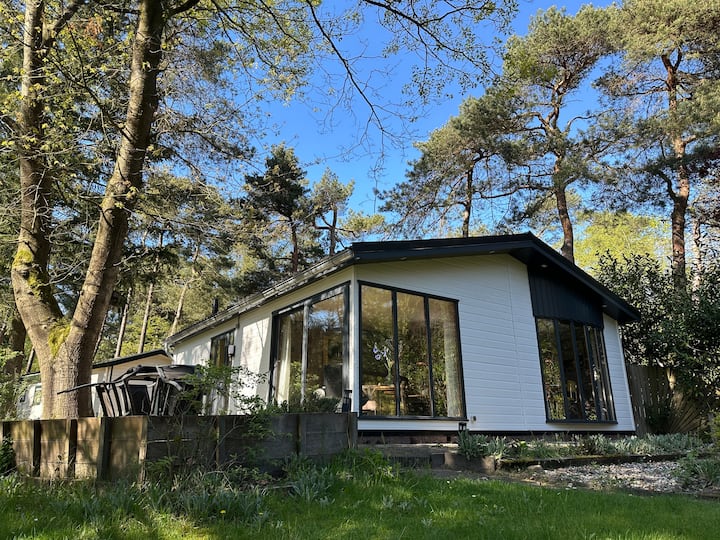 Ruim Chalet, Zwembad Op Bospark, Prachtige Natuur. - Nunspeet
