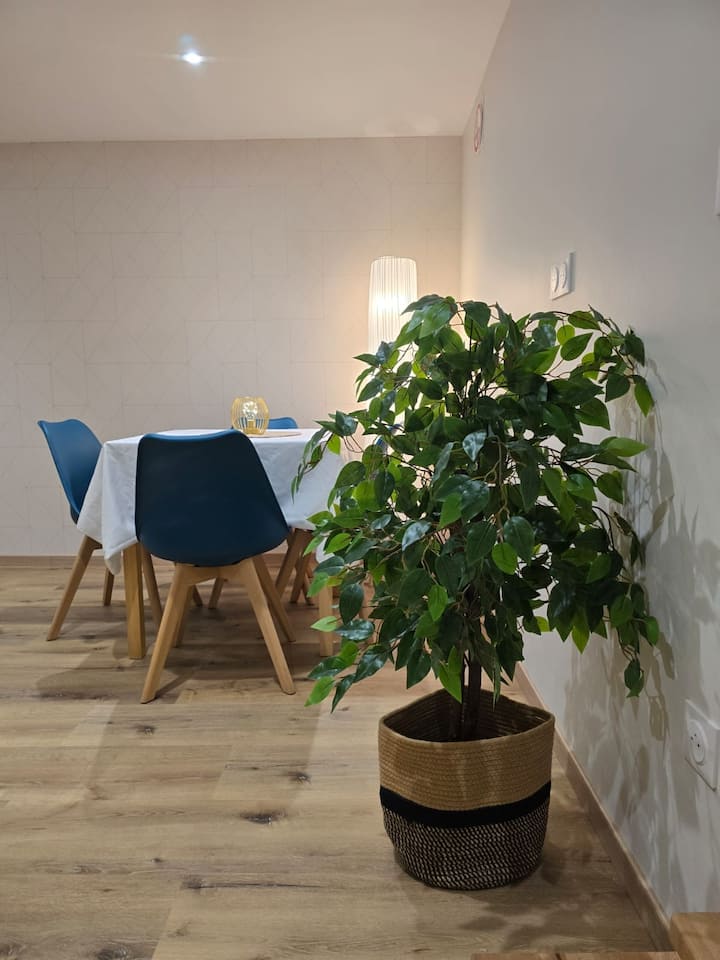 Studio Cosy Illkirch-strasbourg, Près Europapark - Estrasburgo