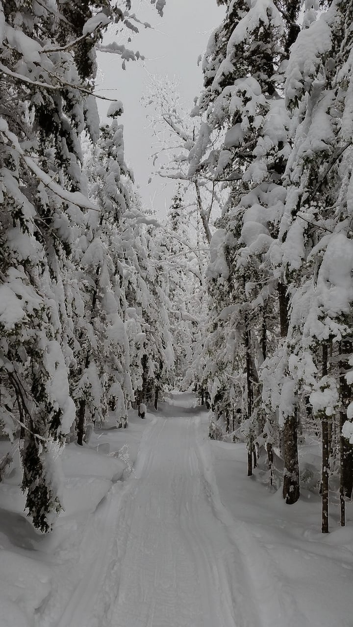 La Belle Vie | L'hiver Québécois à Son Meilleur ! - Québec