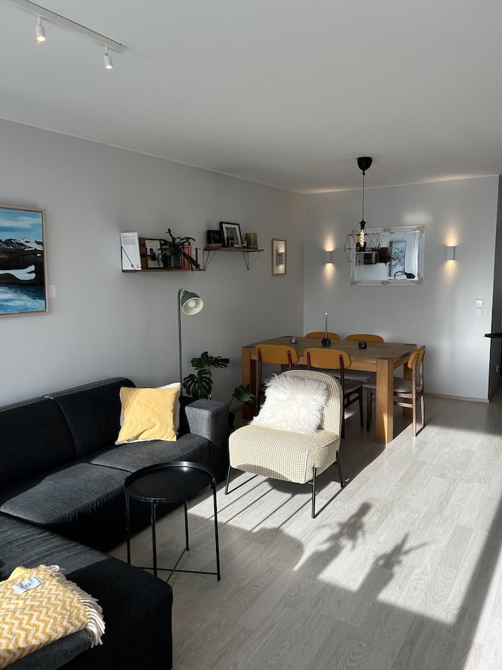 Centrally Located Apartment In Reykjavik - Reykjavik