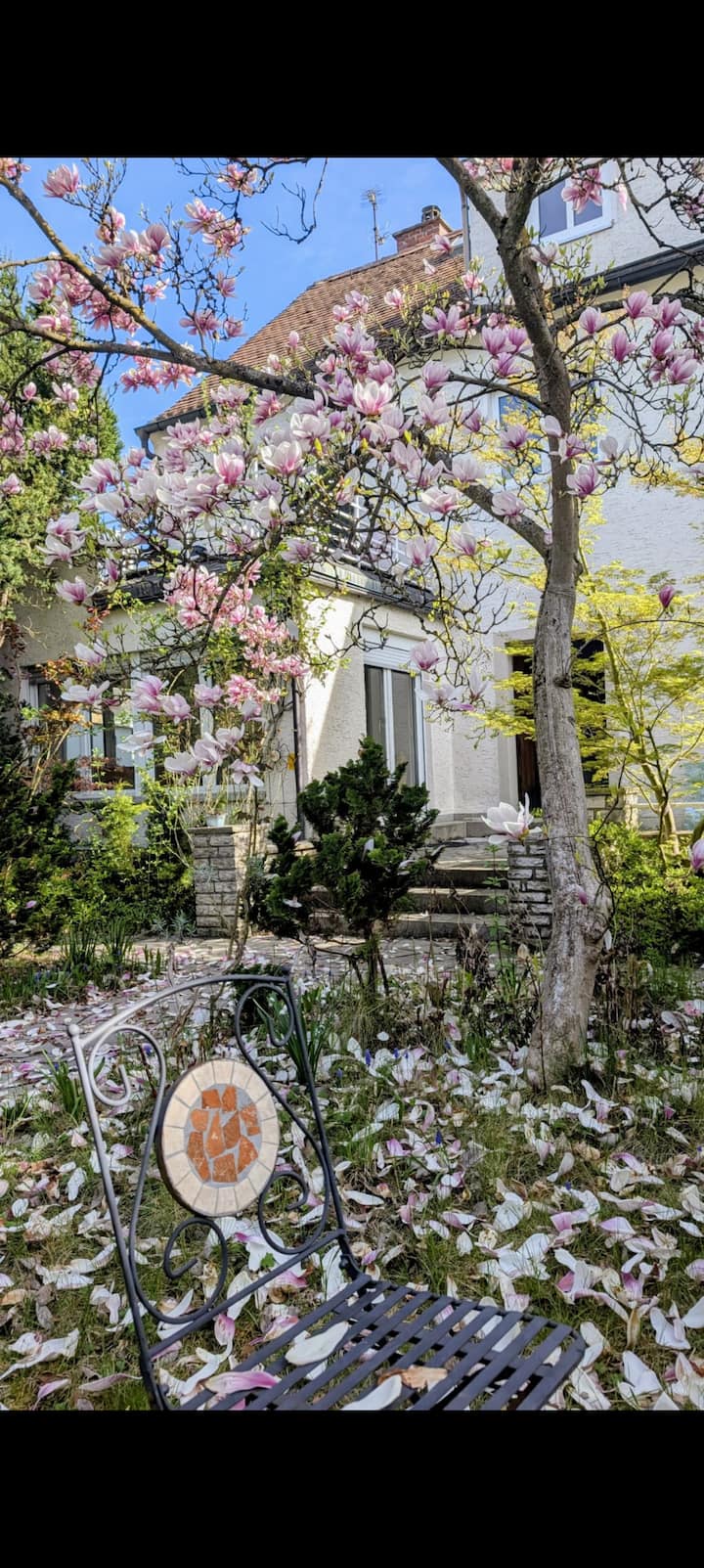 Balkonwohnung In Grüner Oase - Regensburg